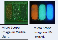 Display / NITRIDE SEMICONDUCTORS Co.,Ltd.